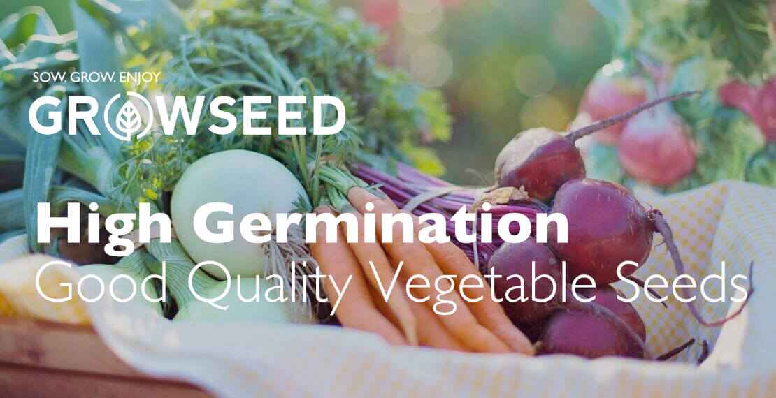 Grow vegetables from seeds